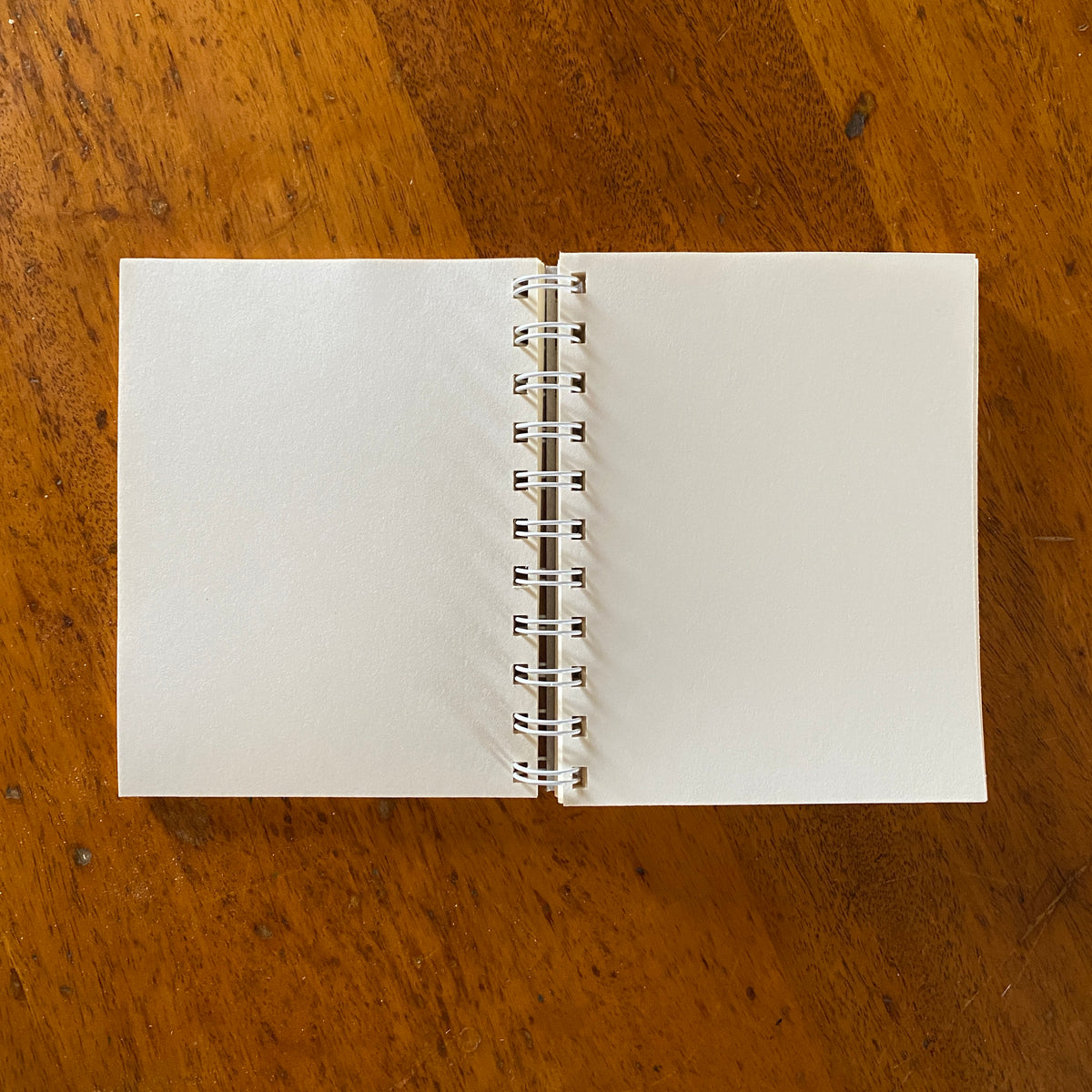 Baby Penguin Journal – Zucchini Fish