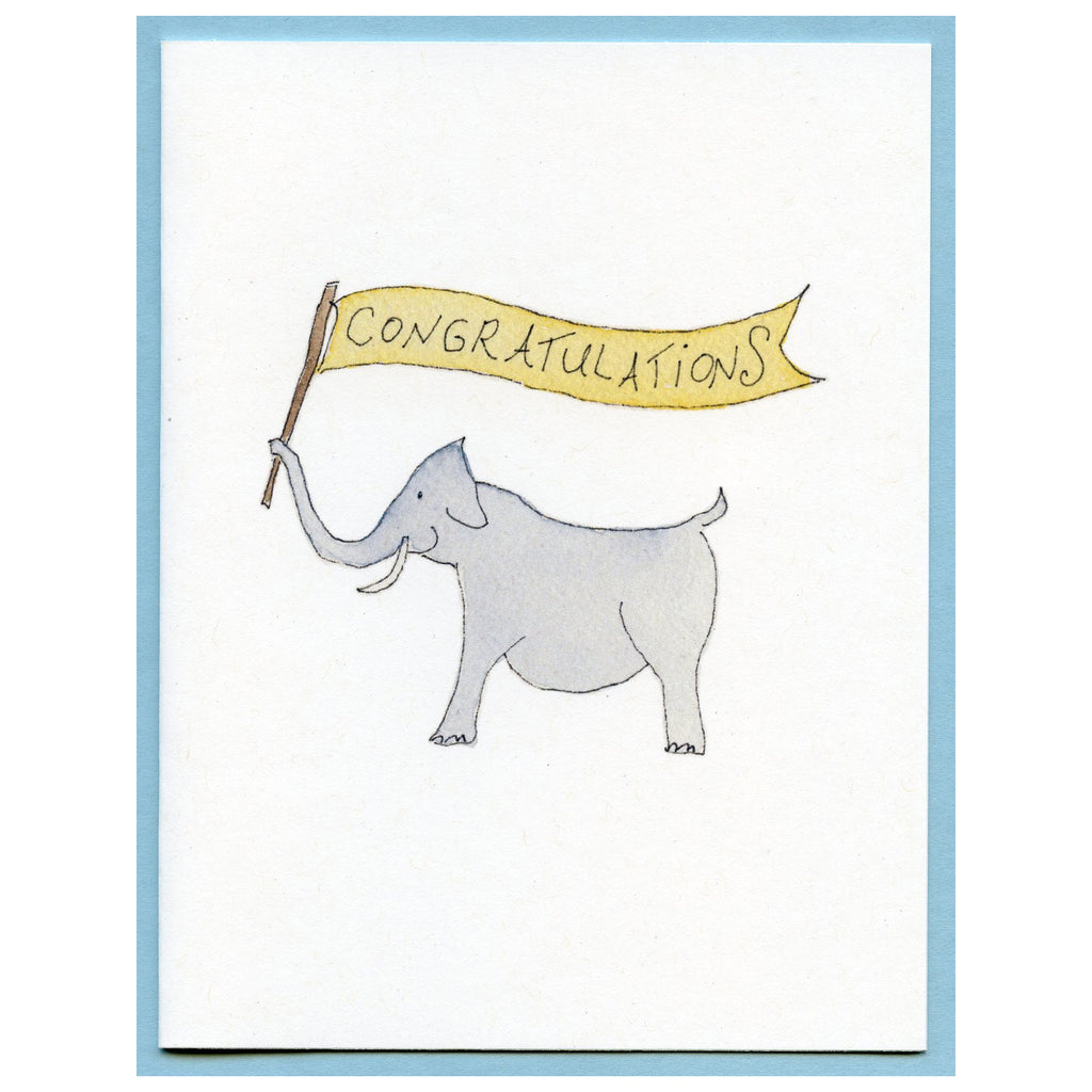 Congratulations Elephant – Zucchini Fish