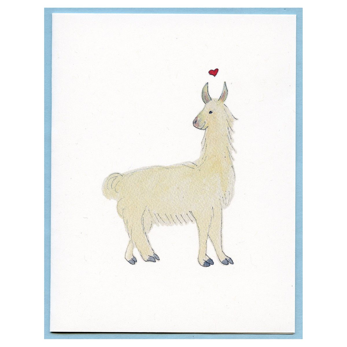 Llama Love – Zucchini Fish